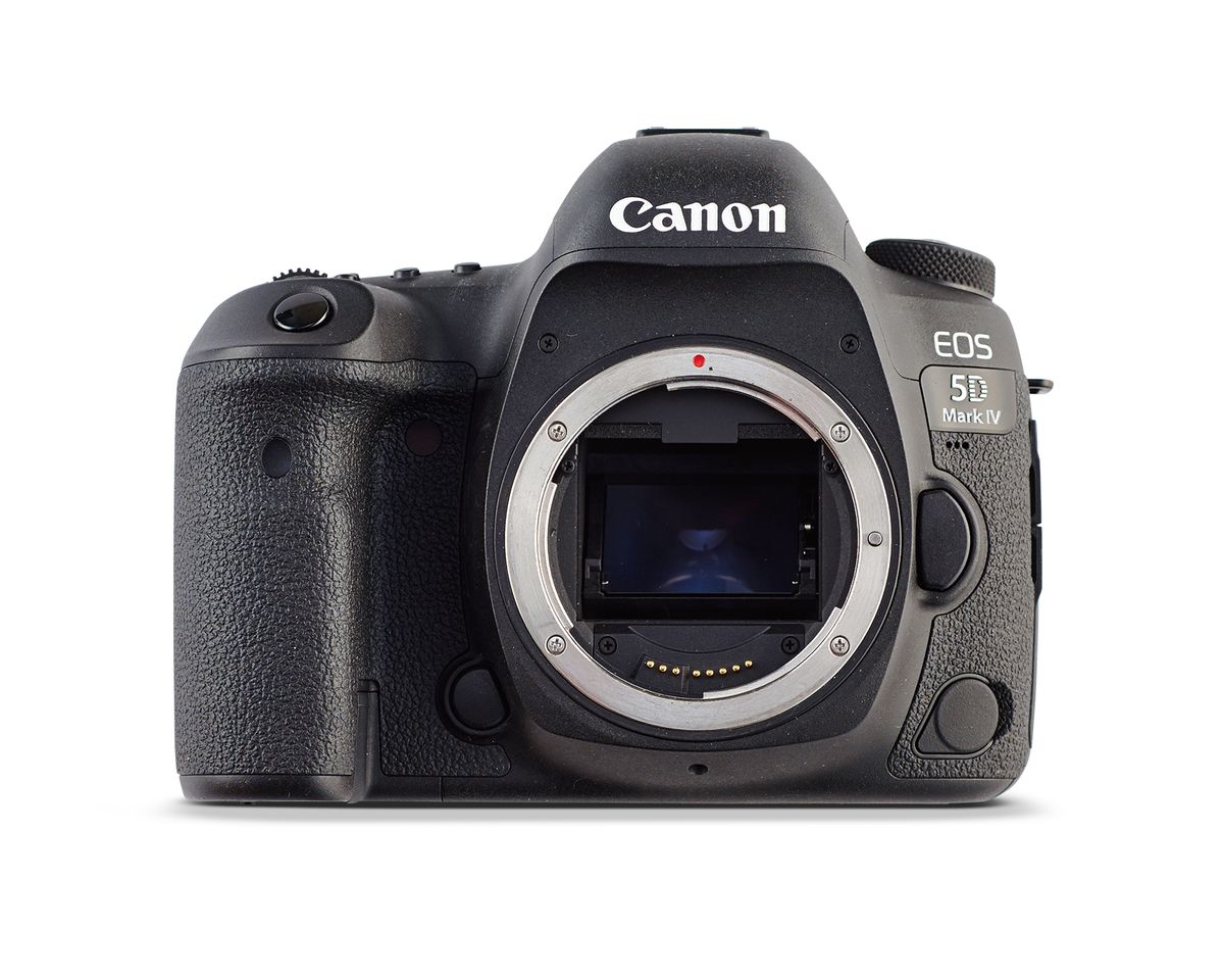 By zooming in on these tiny creatures, I hope to spark curiosity about ...