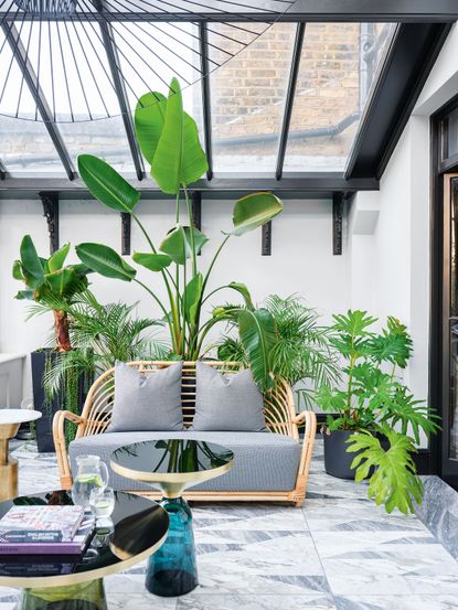 Indoor garden Ideas — 14 Ways to Elevate Homes With Plants | Livingetc