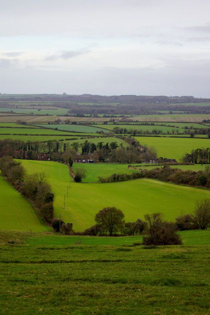 Sample Images - Sony Alpha a65 review - Page 6 | TechRadar