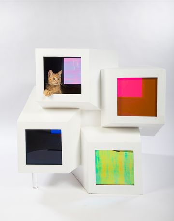 Well-designed homes for homeless cats | Wallpaper*