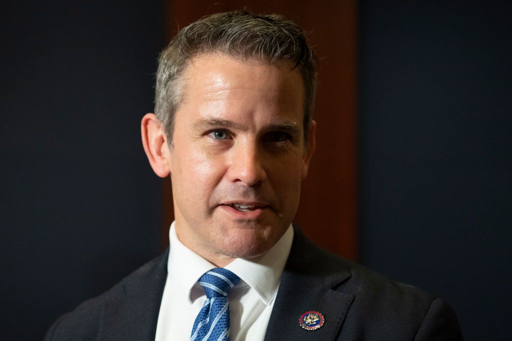 Adam Kinzinger would 'love' to primary Trump, 'even if he crushed me ...