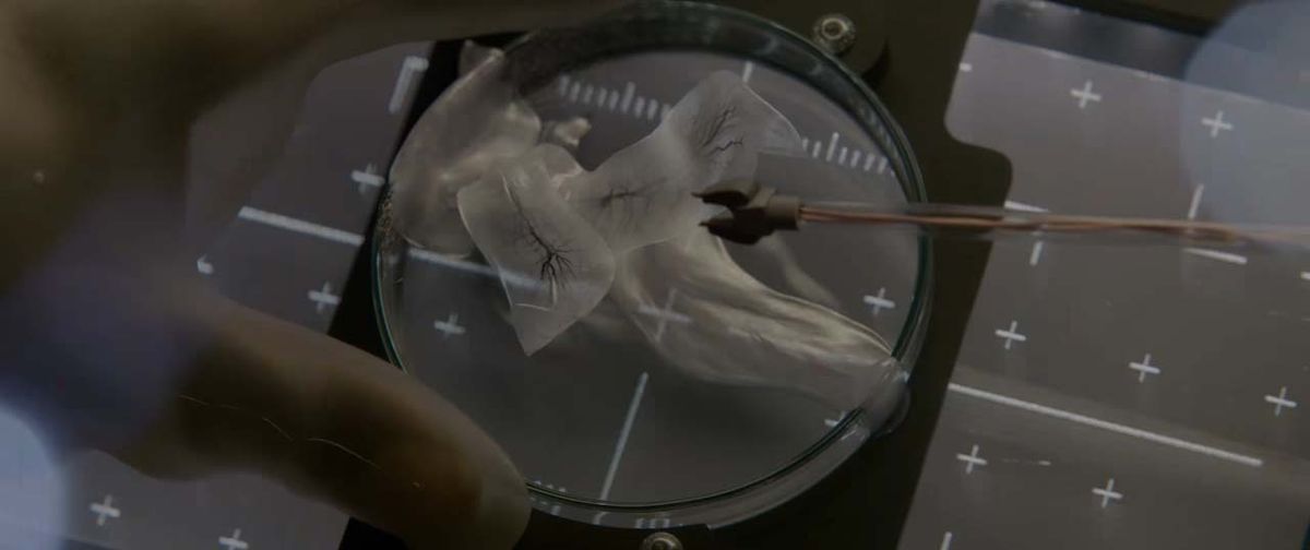 'Life' Brings Alien Terror to the International Space Station | Space