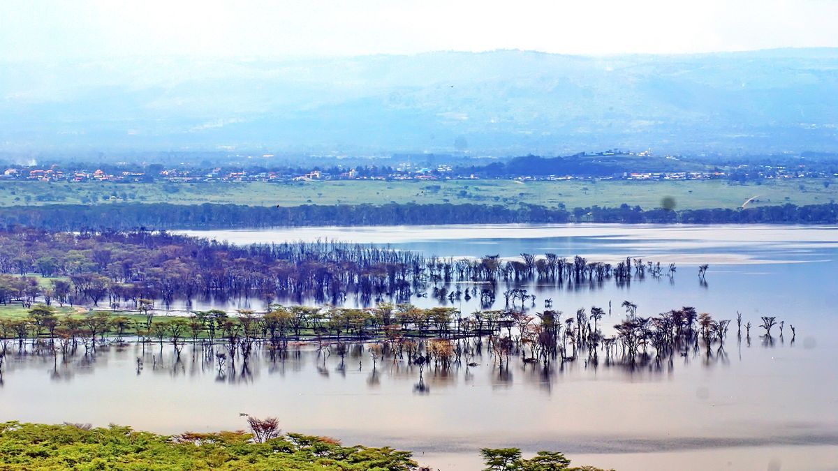 East Africa's Lake Nakuru almost doubled in size in 13 years — and that ...