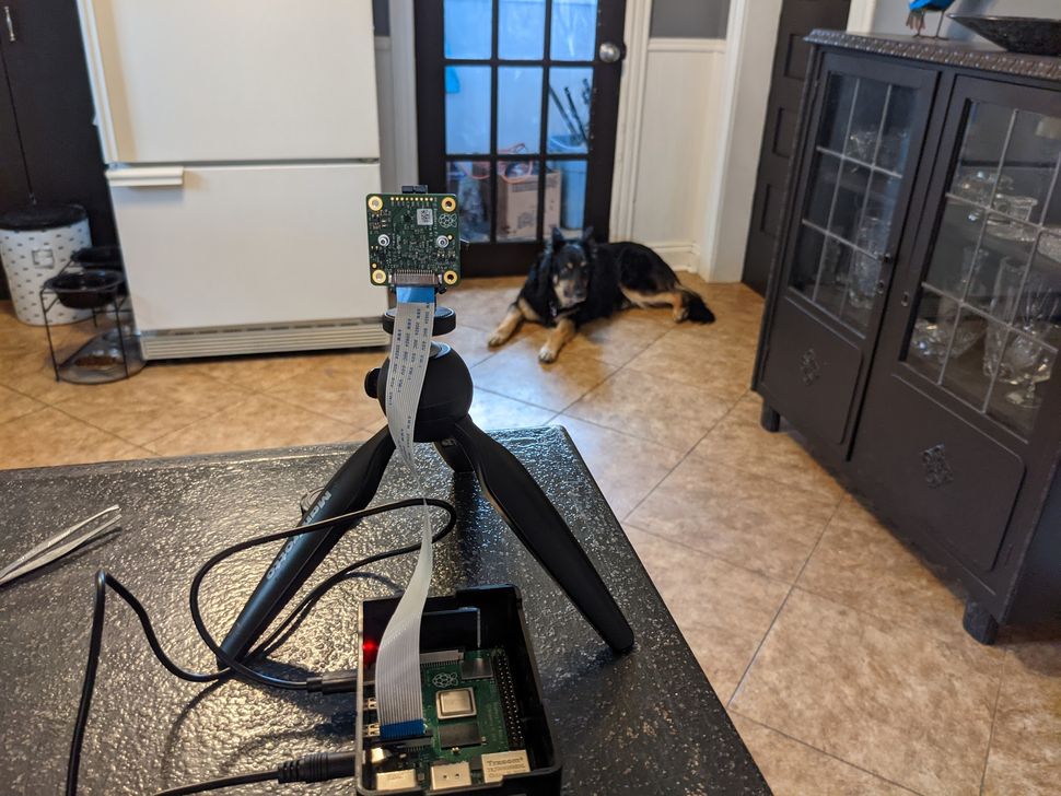 Let the Dogs Out! How to Make a Raspberry Pi Pet Detector | Tom's Hardware
