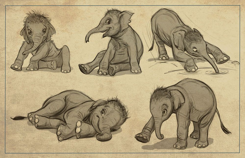 How to draw animals: 15 top tips | Creative Bloq
