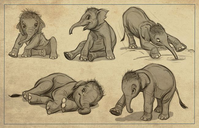 How to draw animals: 15 top tips | Creative Bloq