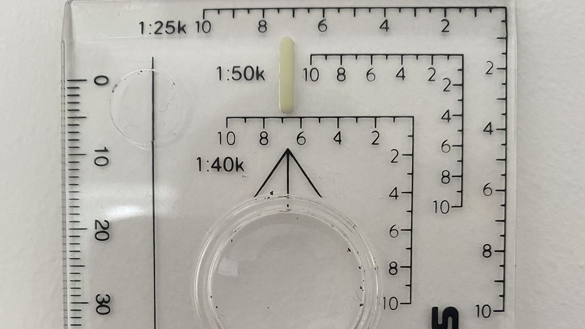 What are grid references? Describe your location on a map | Advnture