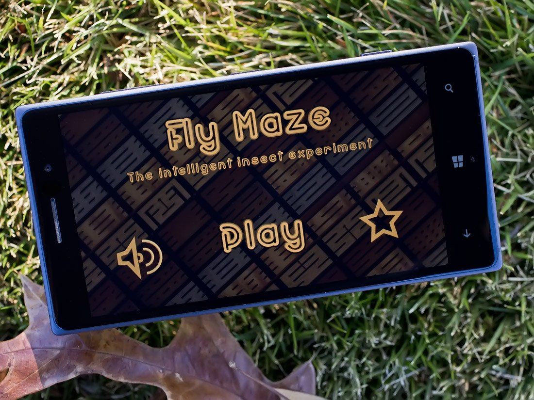 FlyMaze, a buggy platformer for Windows Phone and Windows 10 | Windows ...