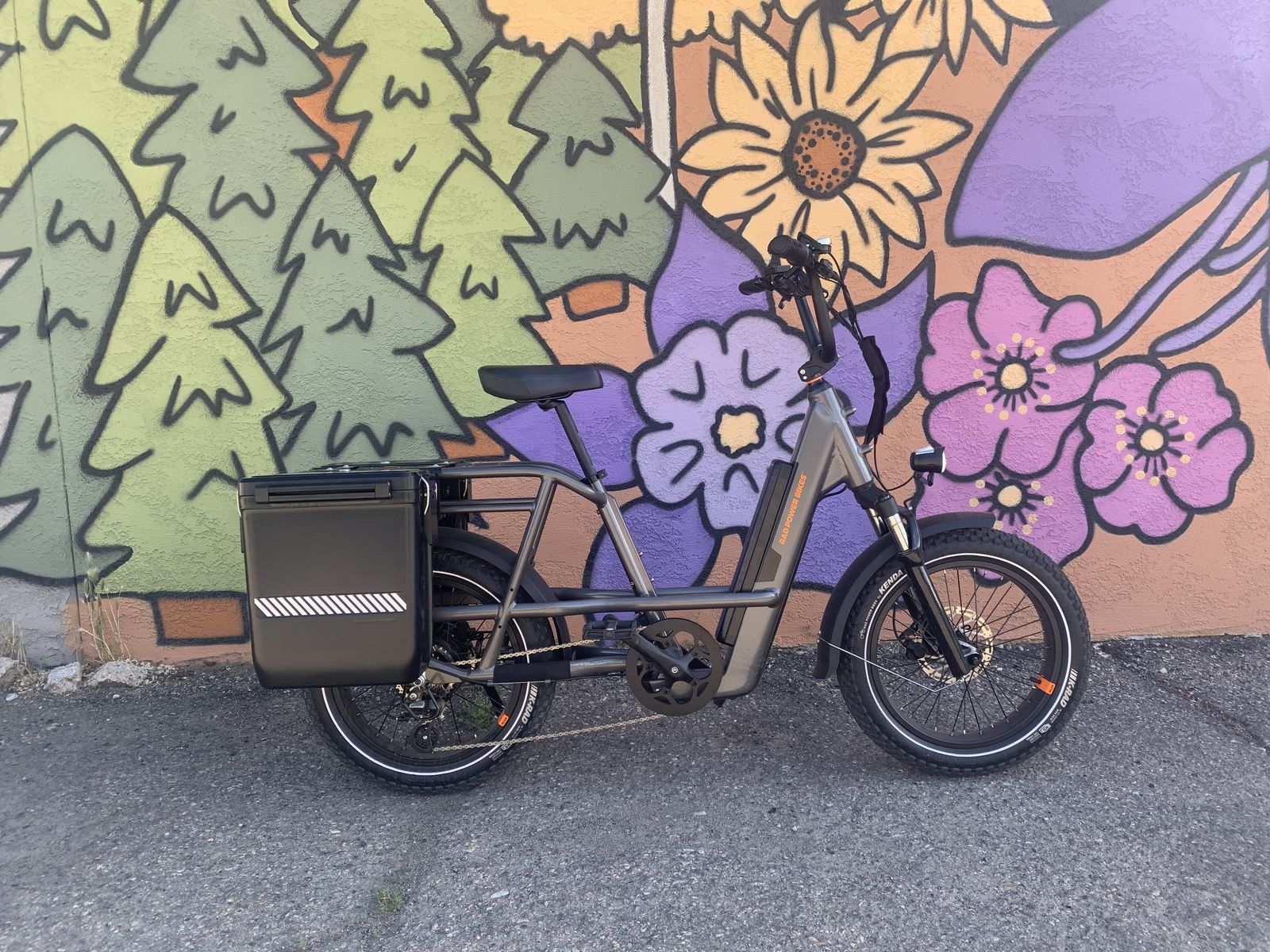 Rad Power RadRunner 3 Plus e-bike review: a cargo bike with car ...