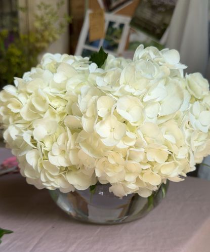 How to make a hydrangea table arrangement: it's so chic and simple ...