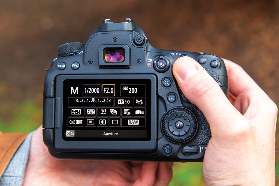 How to create portraits with flare | Digital Camera World