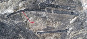 In Photos: Bizarre 'Bat Dinosaur' Discovered in China | Live Science