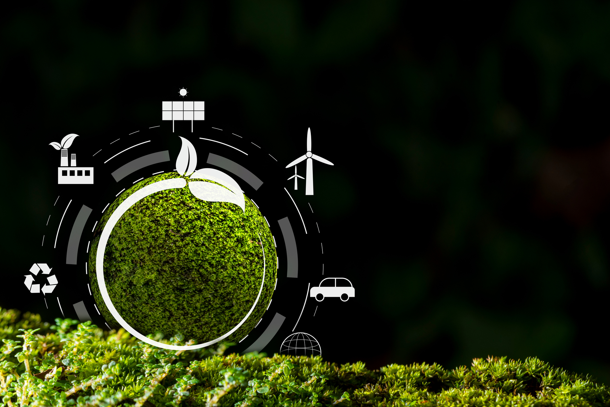 ESG investing is maturing – here's how to buy in | MoneyWeek