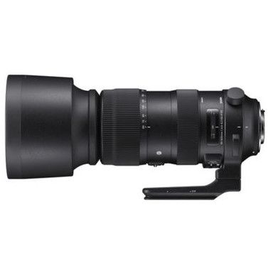 The best 150-600mm lenses | Digital Camera World