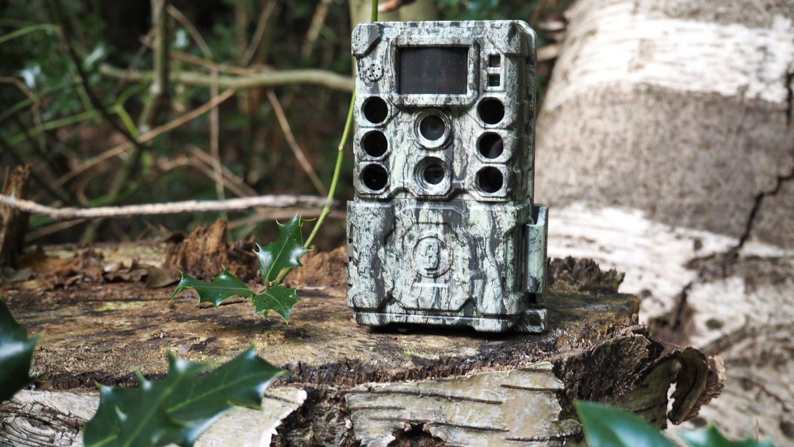 Bushnell CORE DS-4K No Glow trail camera review | T3