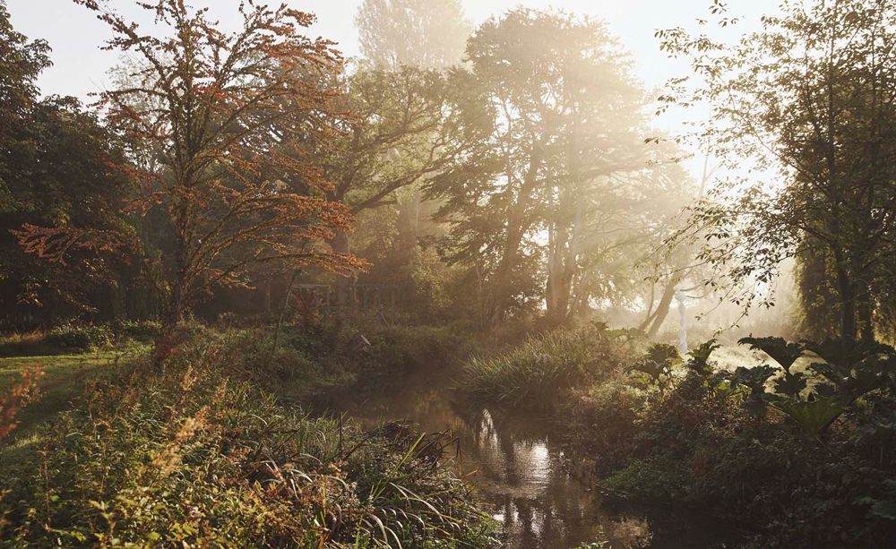 Secrets To A Better Night's Sleep with Thyme's Caryn Hibbert