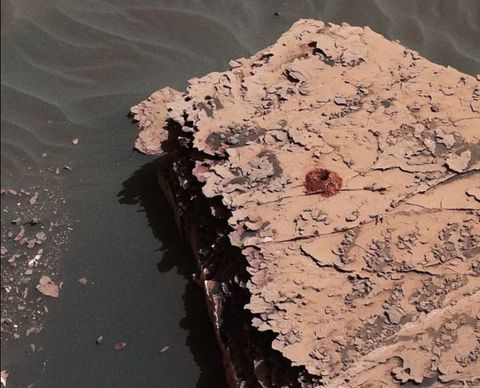 Build a Backyard Mars Rover with NASA DIY Manual | Space