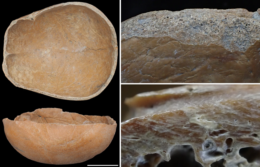 5,000-year-old skeleton masks and skull cups made from human bones ...