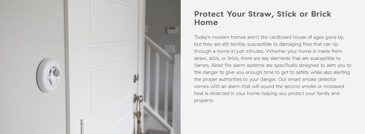Alder Security home security provider | TechRadar