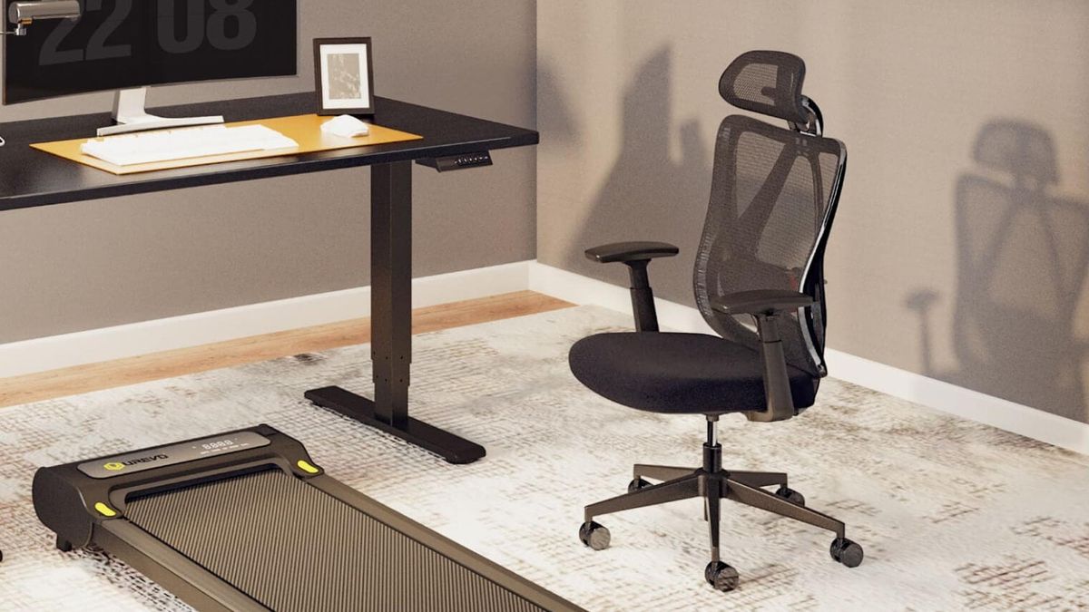 FlexiSpot C5 ergonomic office chair review | Tom's Guide