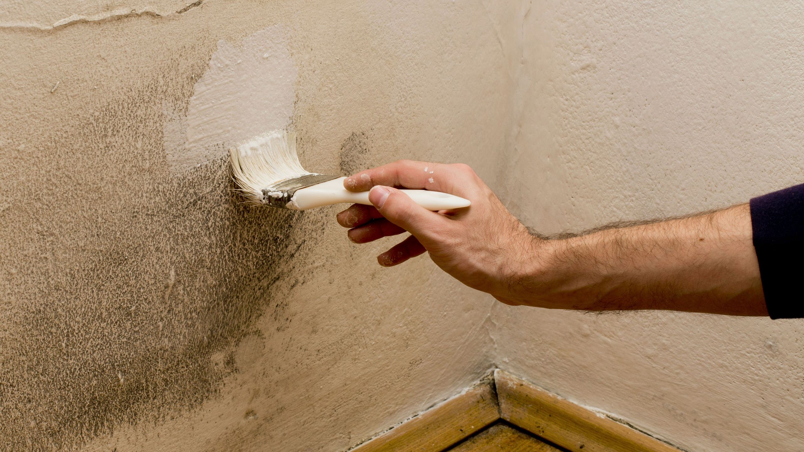 How to make sure you're painting over damp properly | Homebuilding
