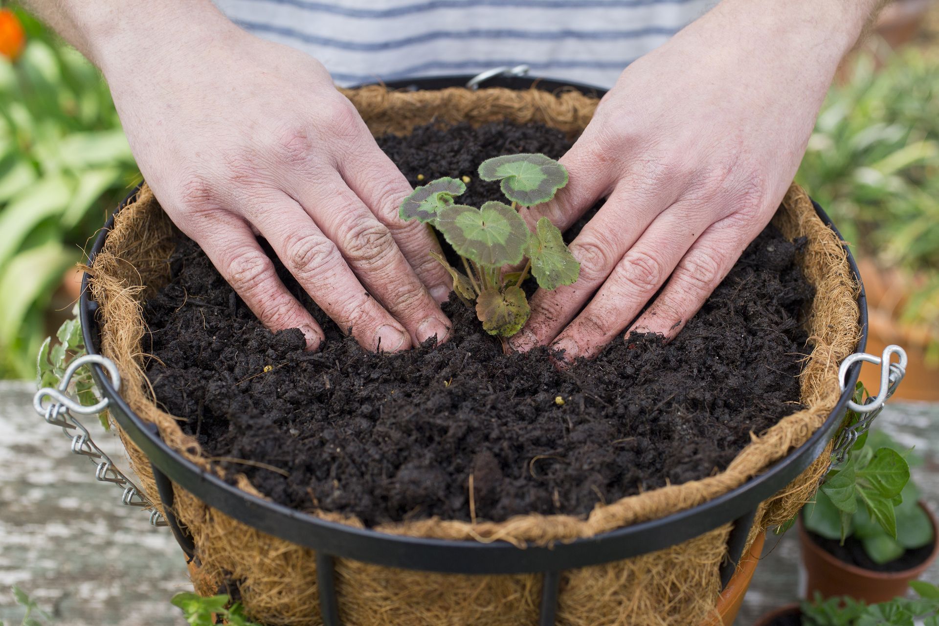 How to make a hanging basket | Gardeningetc