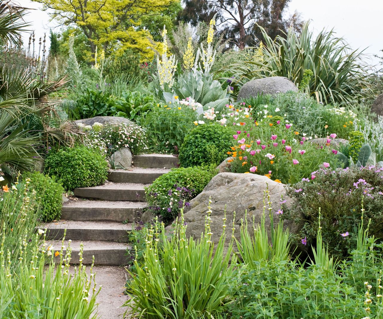 Front yard rock landscaping ideas: 10 eye-catching looks | Homes and ...