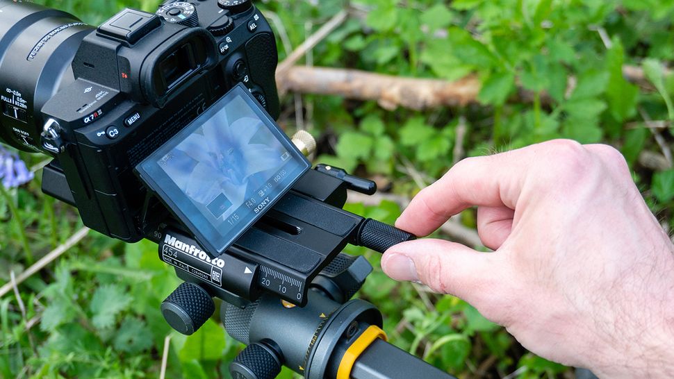 Macro photography: five ways to focus your close-up shots | TechRadar