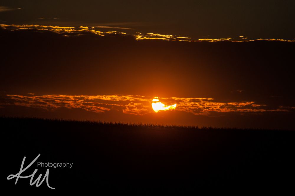 Watch Sunday's Partial Solar Eclipse Live in Slooh Webcast | Space