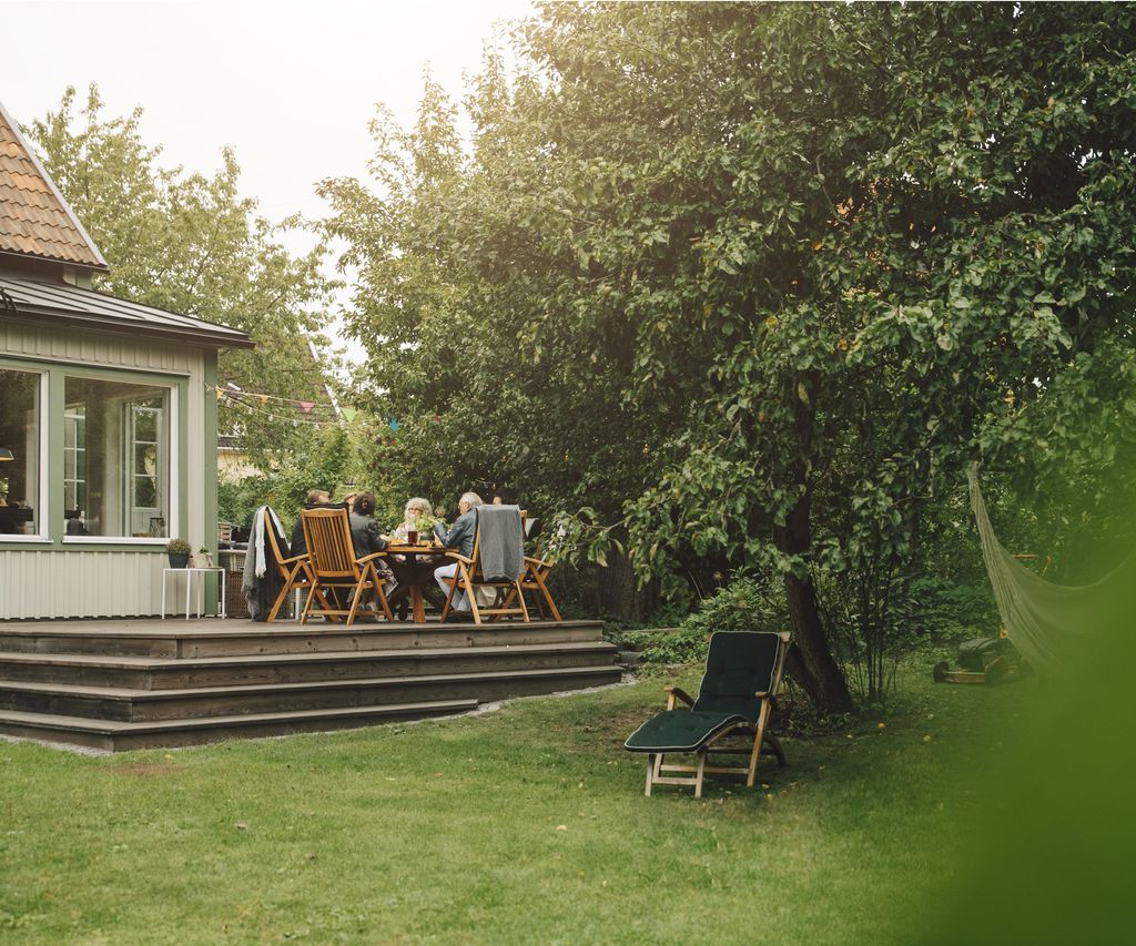 Best fast-growing trees for privacy: 5 for a garden screen | Homes and ...