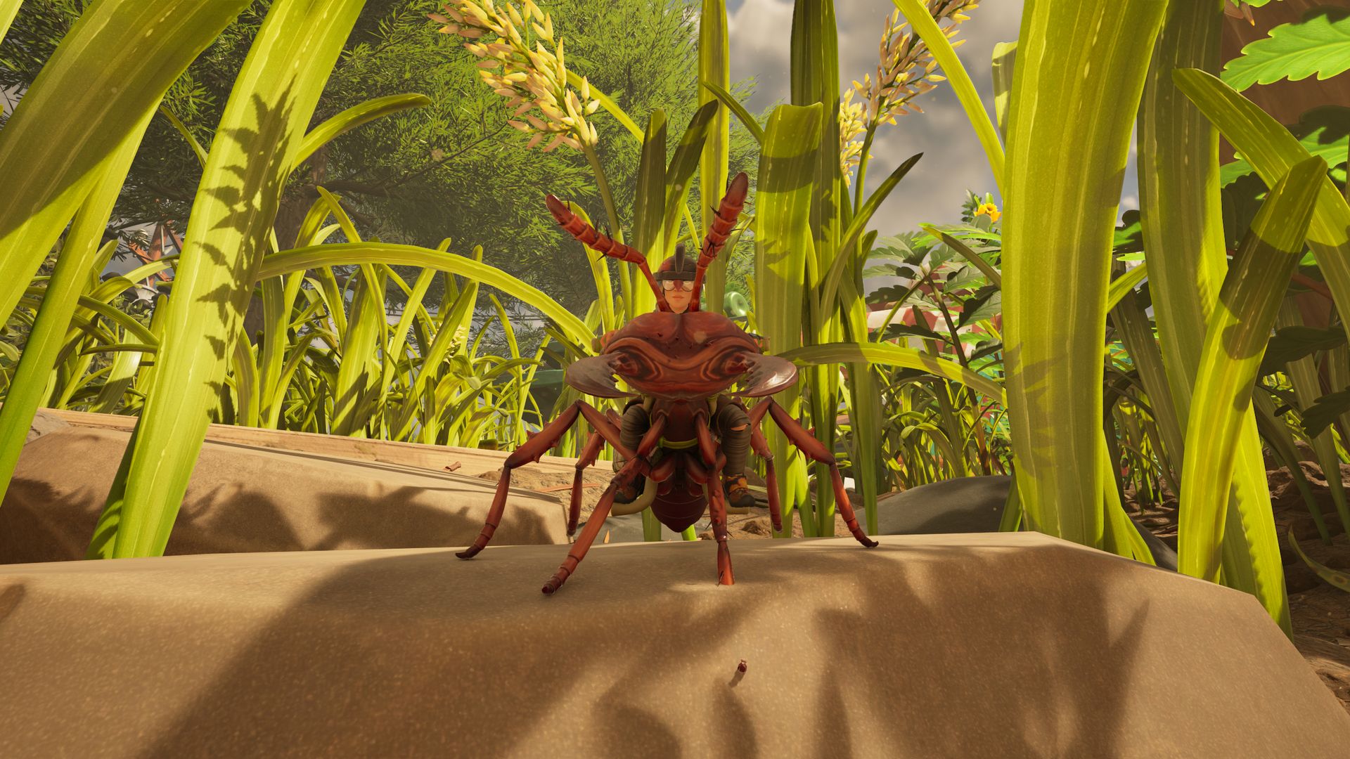 Where to find grass seeds in Grounded 2 | PC Gamer