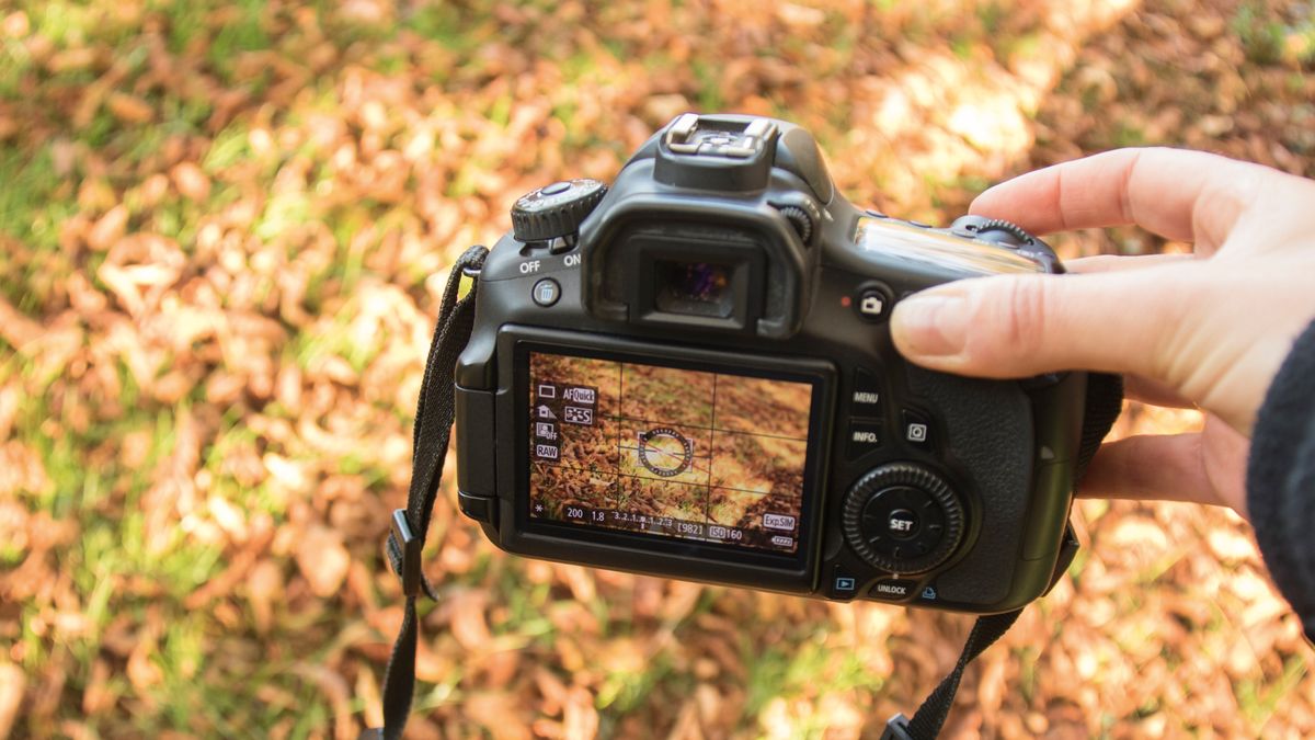 How to capture creative autumn shots | Digital Camera World