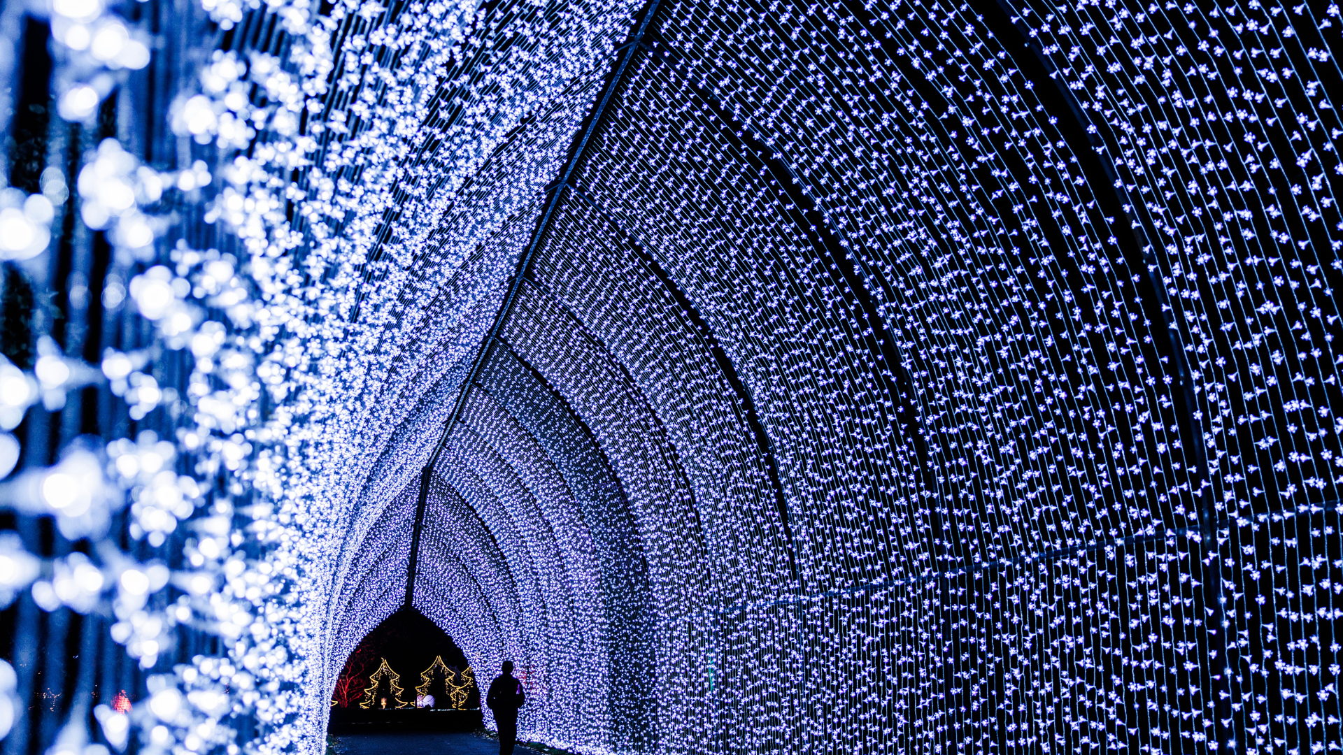 Magical festive light trails around the UK | The Week
