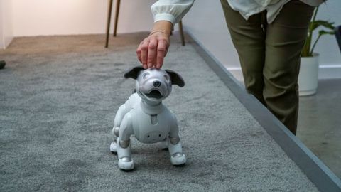 Alexa, what will you be able to do in 2030? | TechRadar