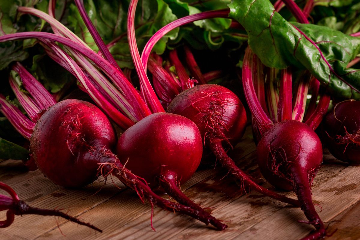 The Color of Blood: Here Are Nature's Reddest Reds (Photos) | Live Science