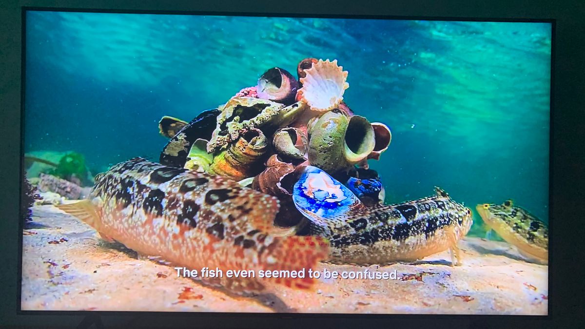 Samsung Q70T QLED TV review | Tom's Guide