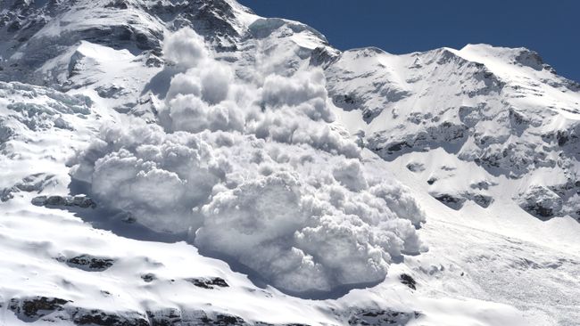 More people are surviving avalanches than decades ago — here's why ...