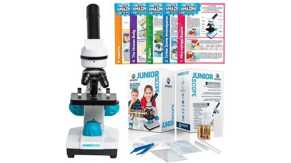 Best microscopes for kids 2024 | Live Science