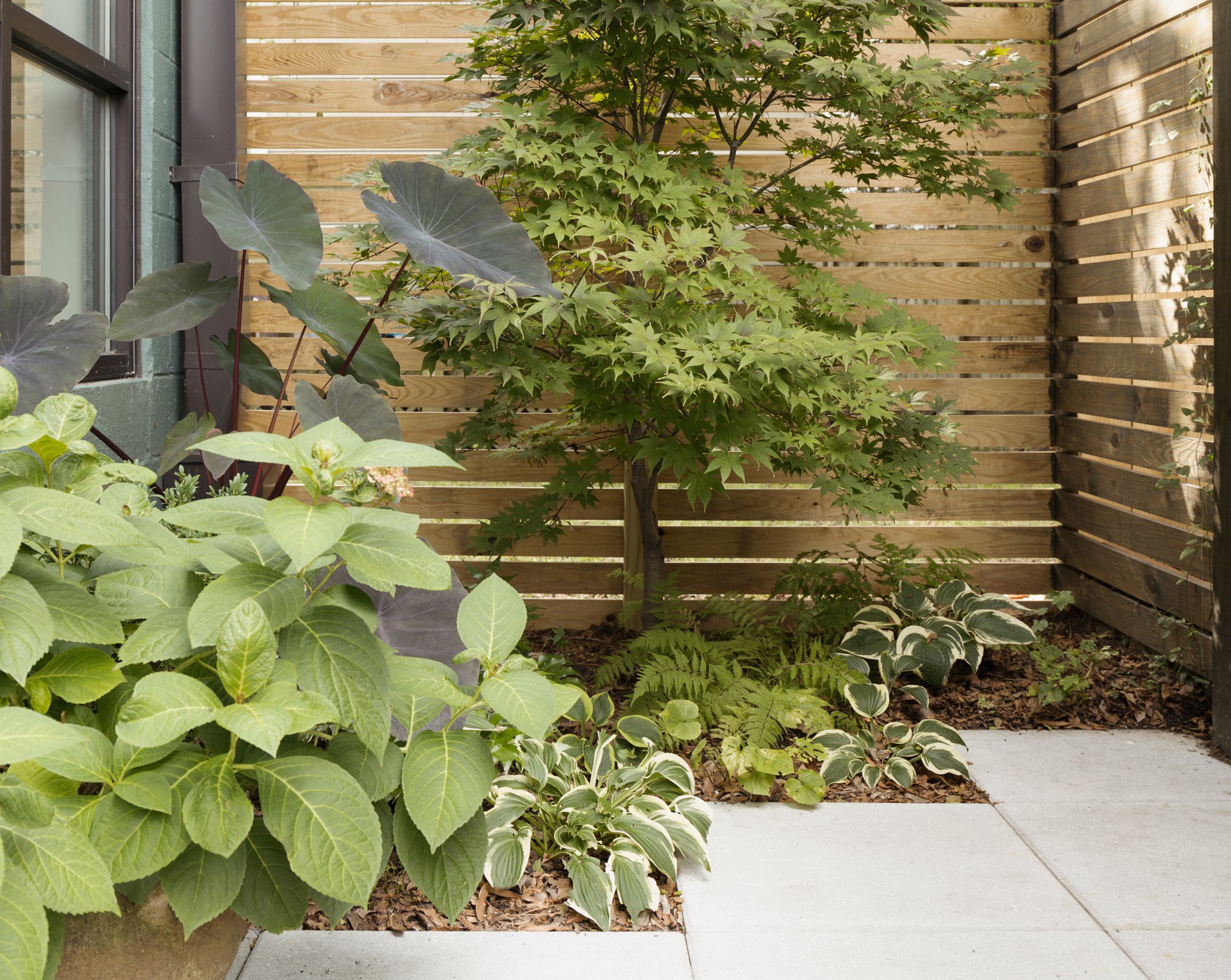 4 fence colors to avoid and what to use instead | Livingetc