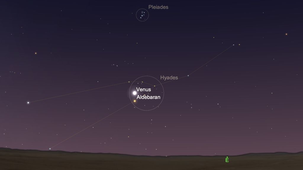 The 'morning star' Venus is at its brightest for 2020 this week. Here's ...