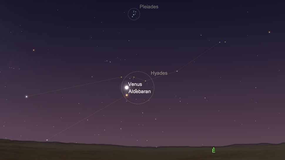 The 'morning star' Venus is at its brightest for 2020 this week. Here's ...