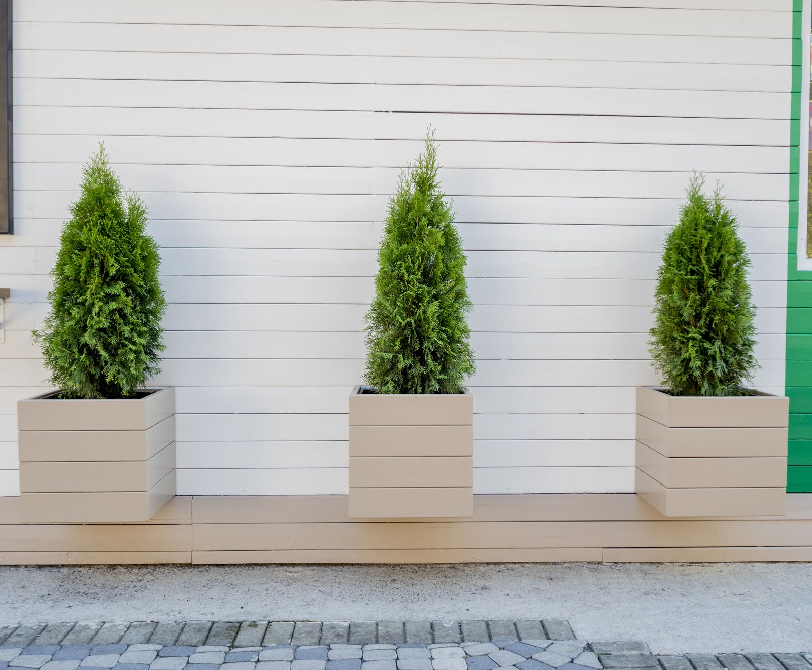 5 best trees to grow in pots for extra privacy in your yard | Livingetc