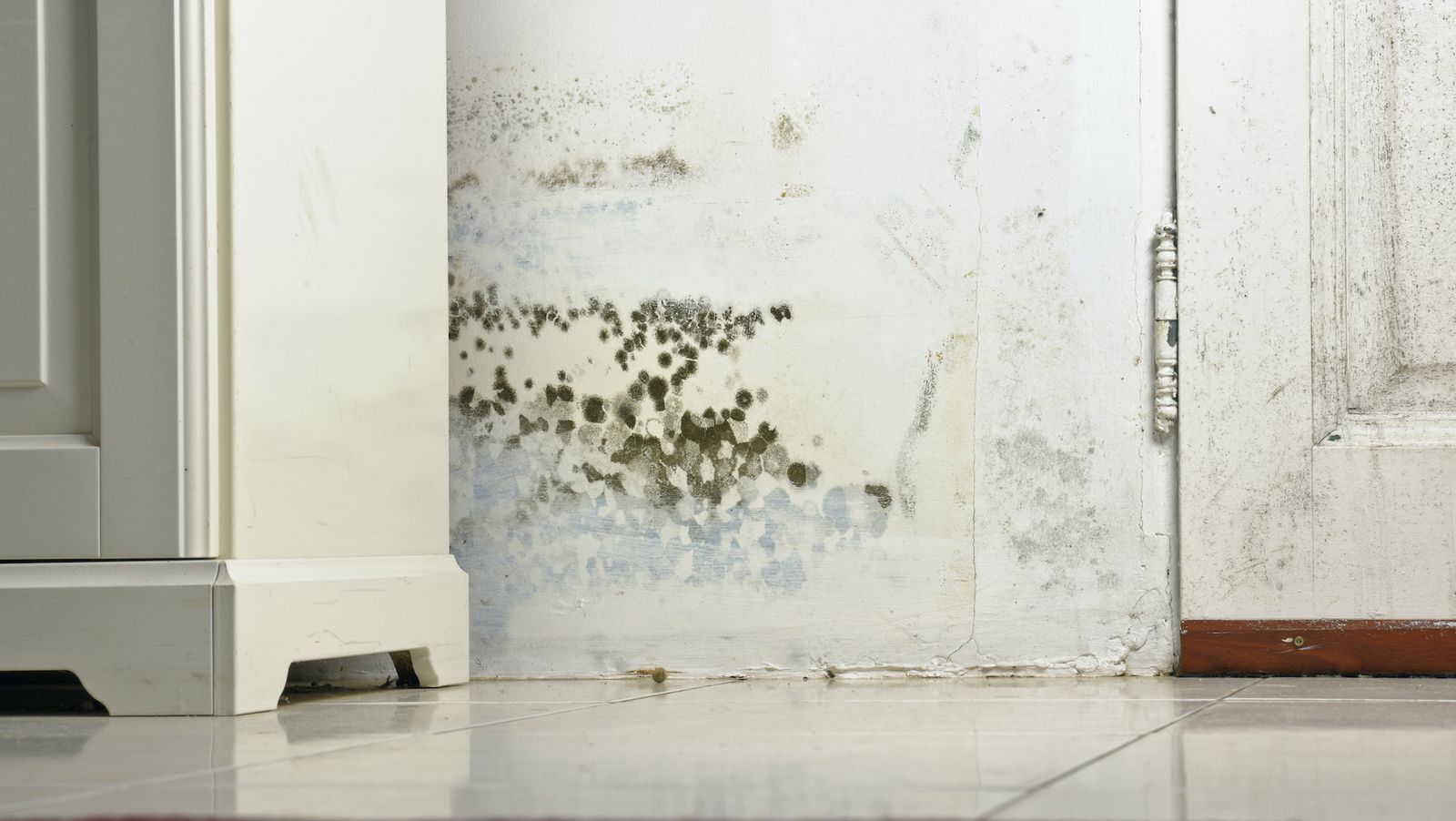 What is the best type of dehumidifier for cold weather? If you've got a ...