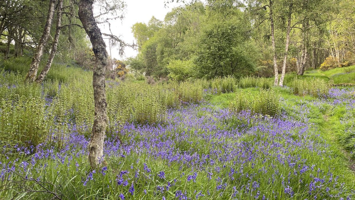 Why evenings are best for summer running | Advnture