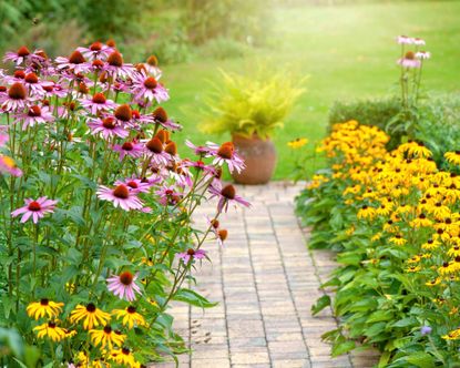 10 full sun plants that love the heat | Real Homes