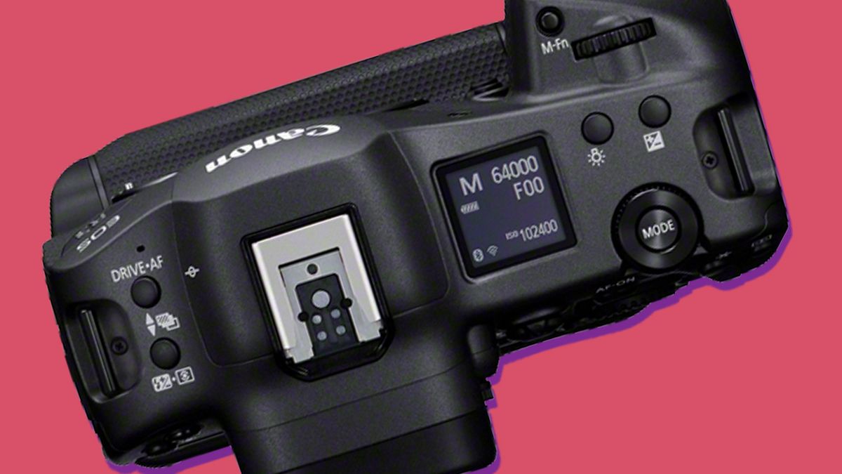 Canon EOS R3 vs Canon EOS R5: 9 key differences between the mirrorless ...