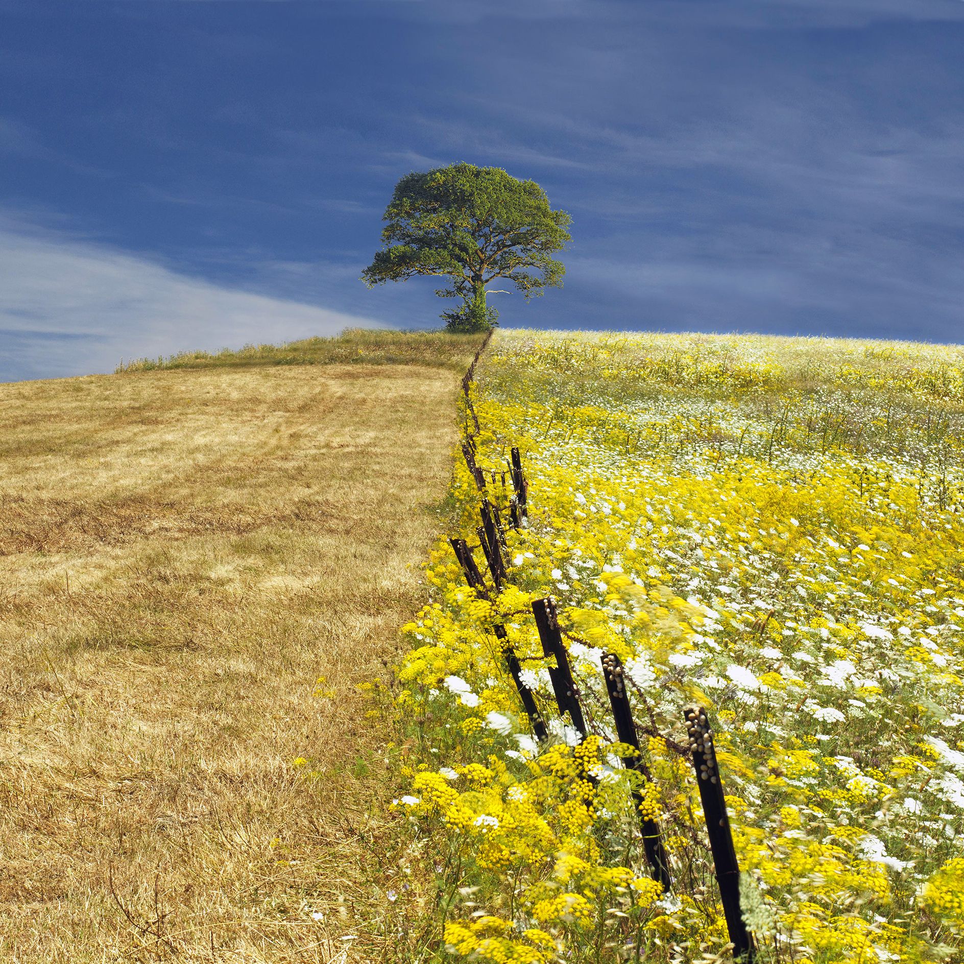 Charlie Waite: One of the world's best landscape photographers on how ...