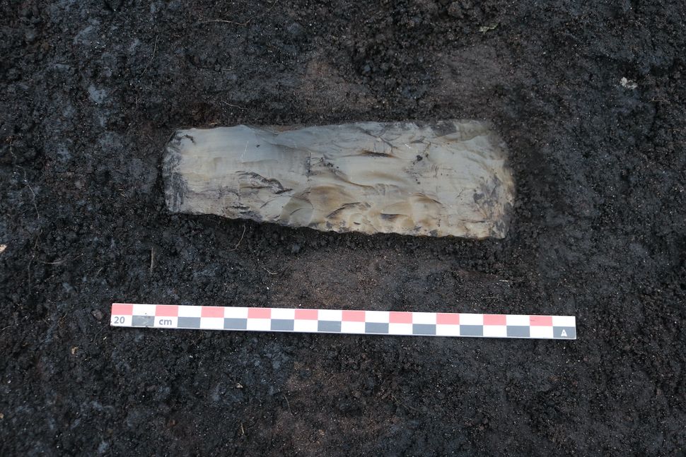 5,000-year-old 'bog body' found in Denmark may be a human sacrifice ...