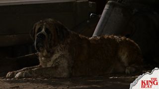 Fan Casting Netflix’s Cujo Remake With Stephen King Veteran Actors ...