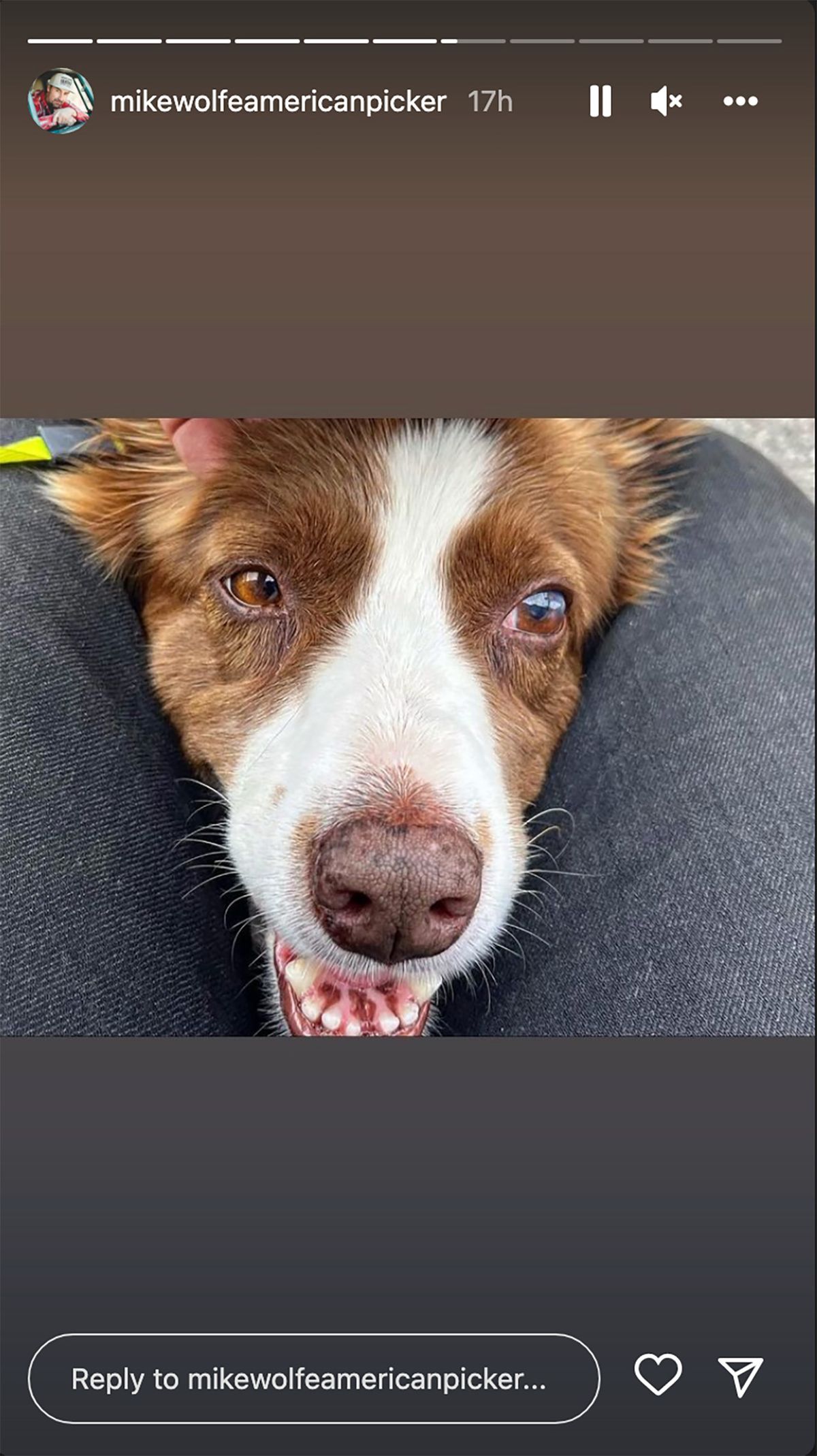 American Pickers’ Mike Wolfe Shares Sweet Post With His Latest Road ...